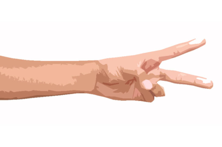 How Hands Tell Our Story. Five Finger Facts - Factspedia