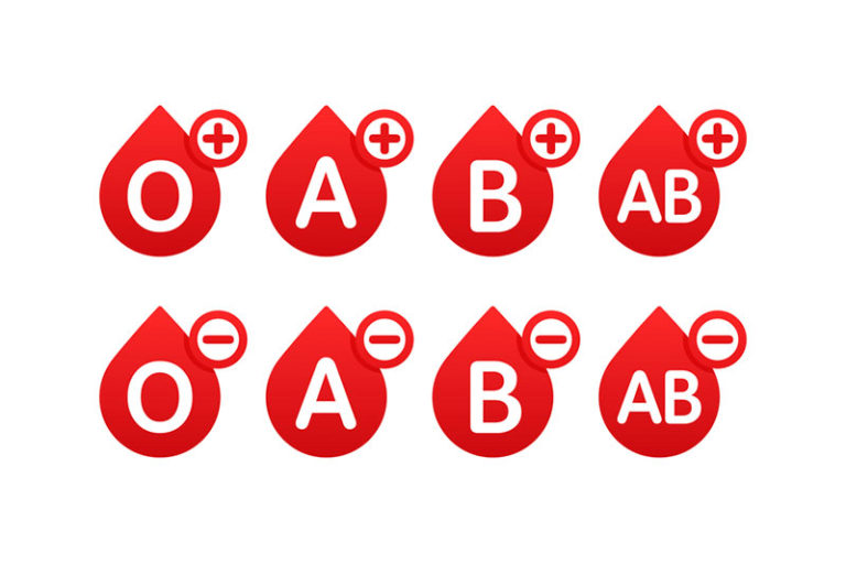 Interesting facts about... Blood Types - Factspedia