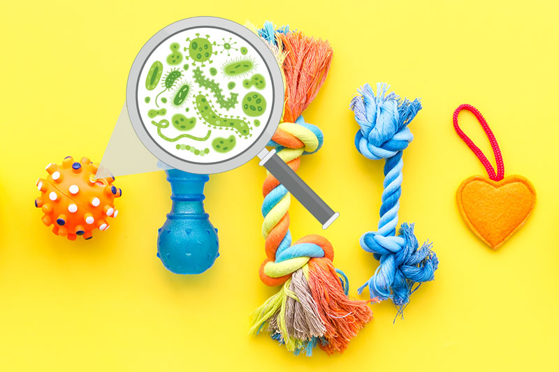 10 Dirtiest Things You Touch Every Day - Factspedia