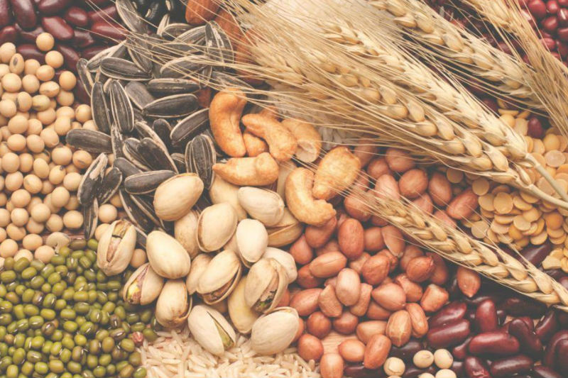 Interesting Facts About Carbohydrates Factspedia Interesting Facts About Carbohydrates Factspedia