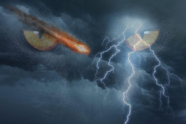 10 Most Of The Unluckiest People On Earth - Factspedia