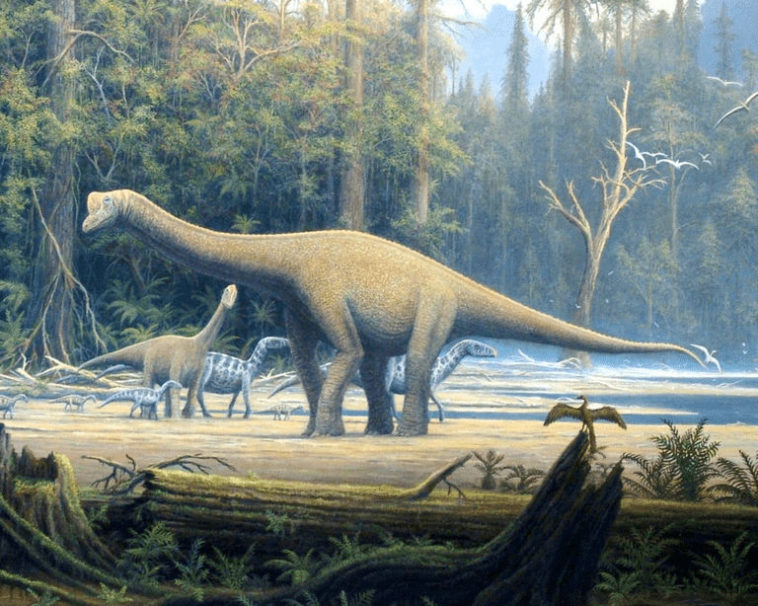 Top 6 amazing Dinosaurs - Factspedia
