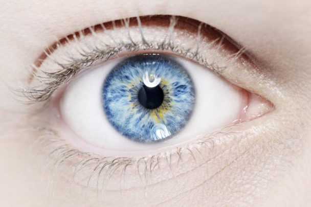 10 Amazing Human Features That Are Genetic Mutations - Factspedia