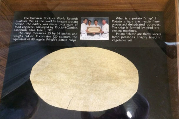 The world's largest potato chip - Factspedia