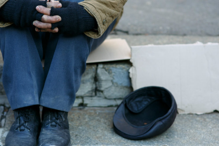 Hair Today, Scared Tomorrow - Peladophobia - Factspedia