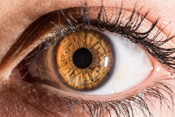 10 Surprising Facts About Hazel Eyes - Factspedia