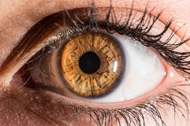 10 Surprising Facts About Hazel Eyes - Factspedia