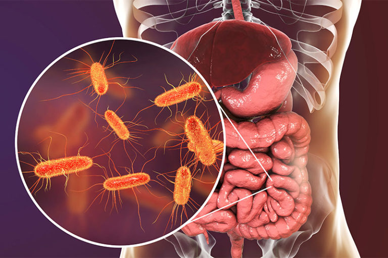 12 Amazing Facts About Your Digestive System - Factspedia