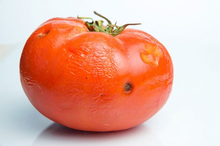 12 Secret Signs Your Produce Has Gone Bad - Factspedia