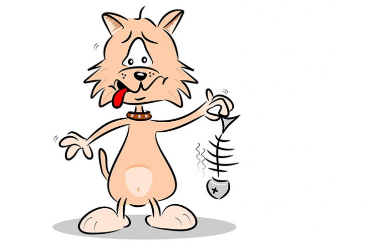 15 Weird And Strangest Medical Conditions That Are So Rare You Won’t ...