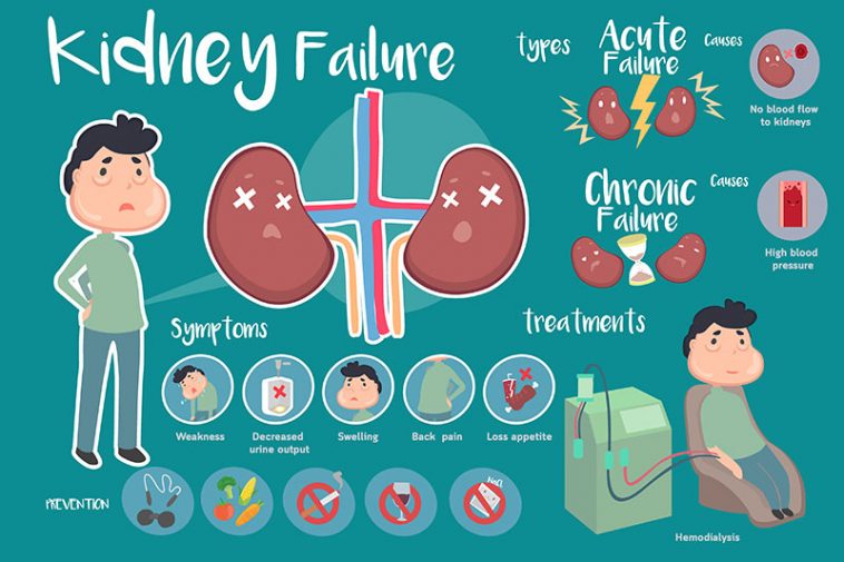 11 Silent Signs of Kidney Disease You Can't Afford to Ignore - Factspedia