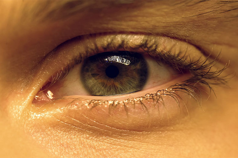 The 7 Most Common Vision Problems And How To Prevent Them - Factspedia