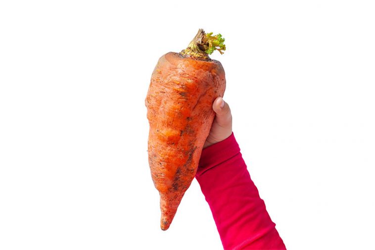 12 Secret Signs Your Produce Has Gone Bad - Factspedia