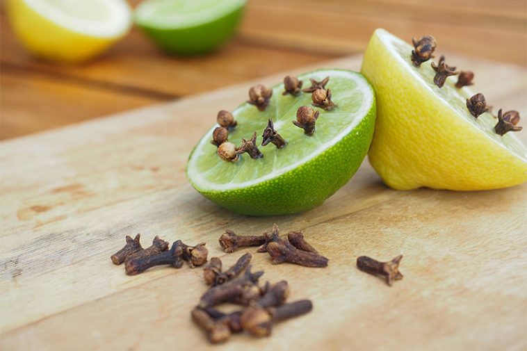 12 Brilliant And Unexpected Things You Can Do With A Lemon - Factspedia