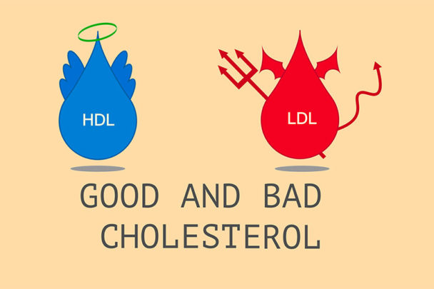 9 Effective Ways to Boost Your Good Cholesterol (HDL) - Factspedia
